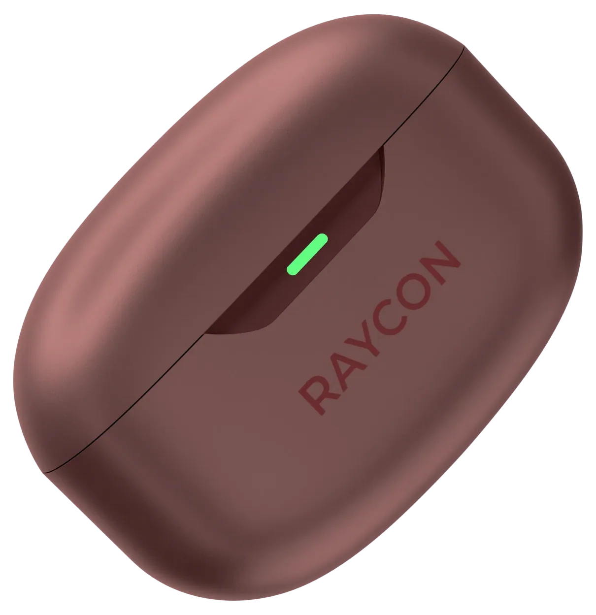 Raycon e100 store