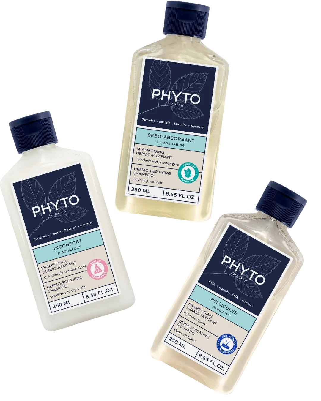 Discover Your Custom Routine – PHYTO USA